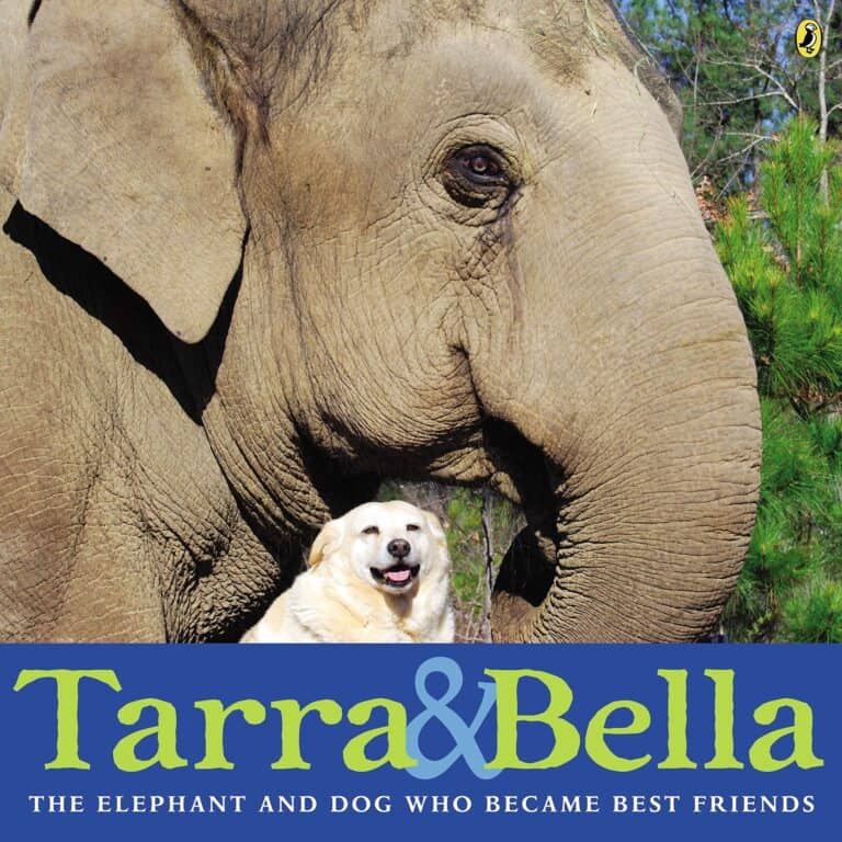 40 Lovable Friendship Books For Kids