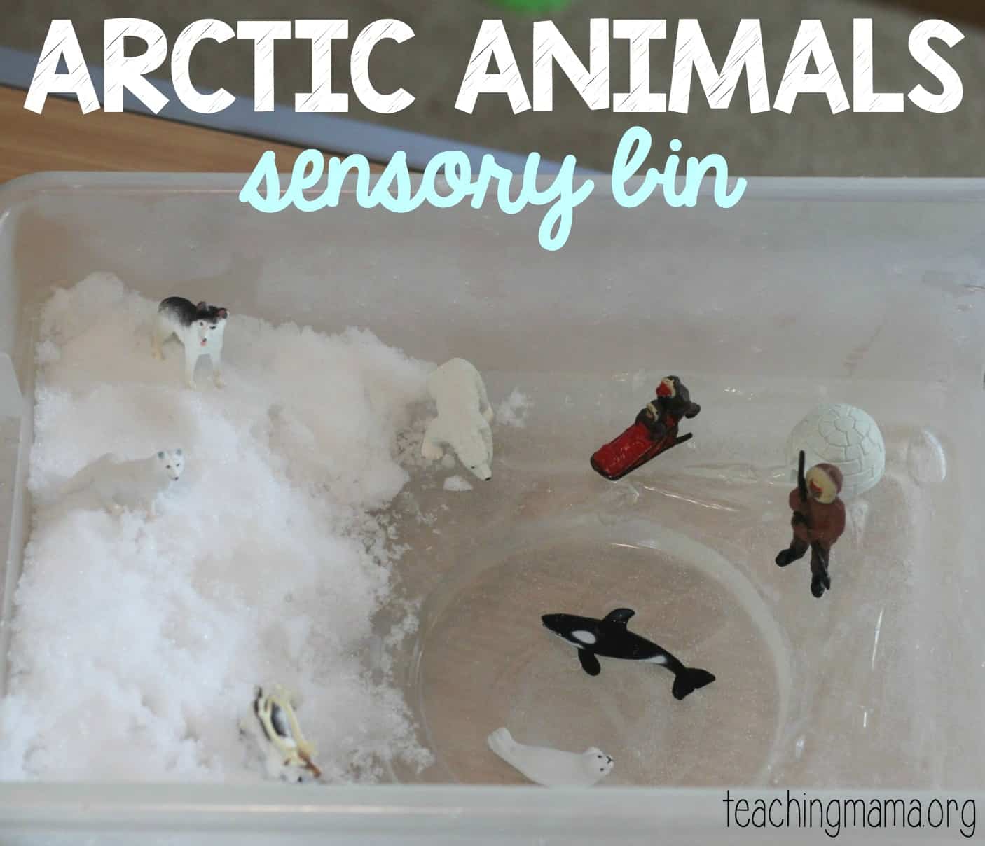 Fun Polar Bear Activities for Preschool and Kindergarten